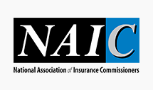 NAIC Case Study | Kubernetes